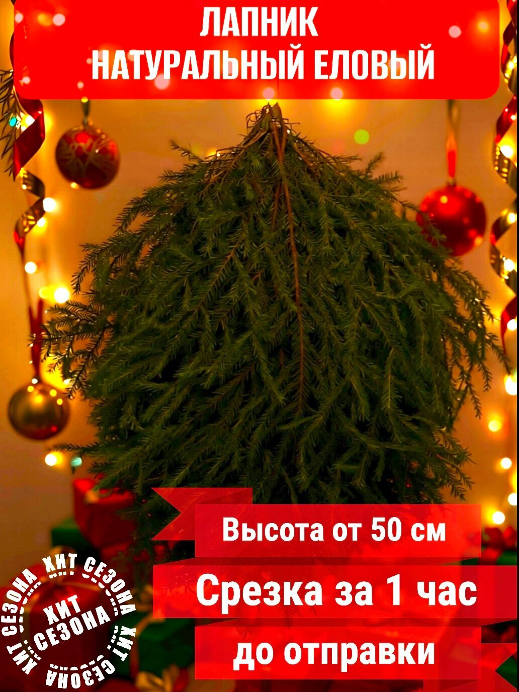 Лапник 10 веток / Лапник новогодний / Елка новогодняя / Ветки елки / Лапник еловый / Лапник оптом / Лапник для декора