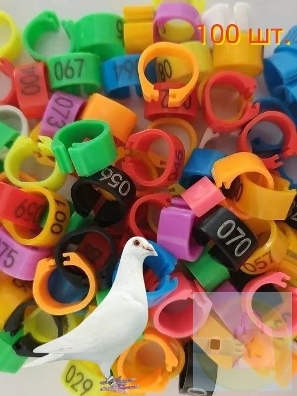 100 шт. Меточные кольца для птиц 8мм , маркировка для голубей, Меточные кольца