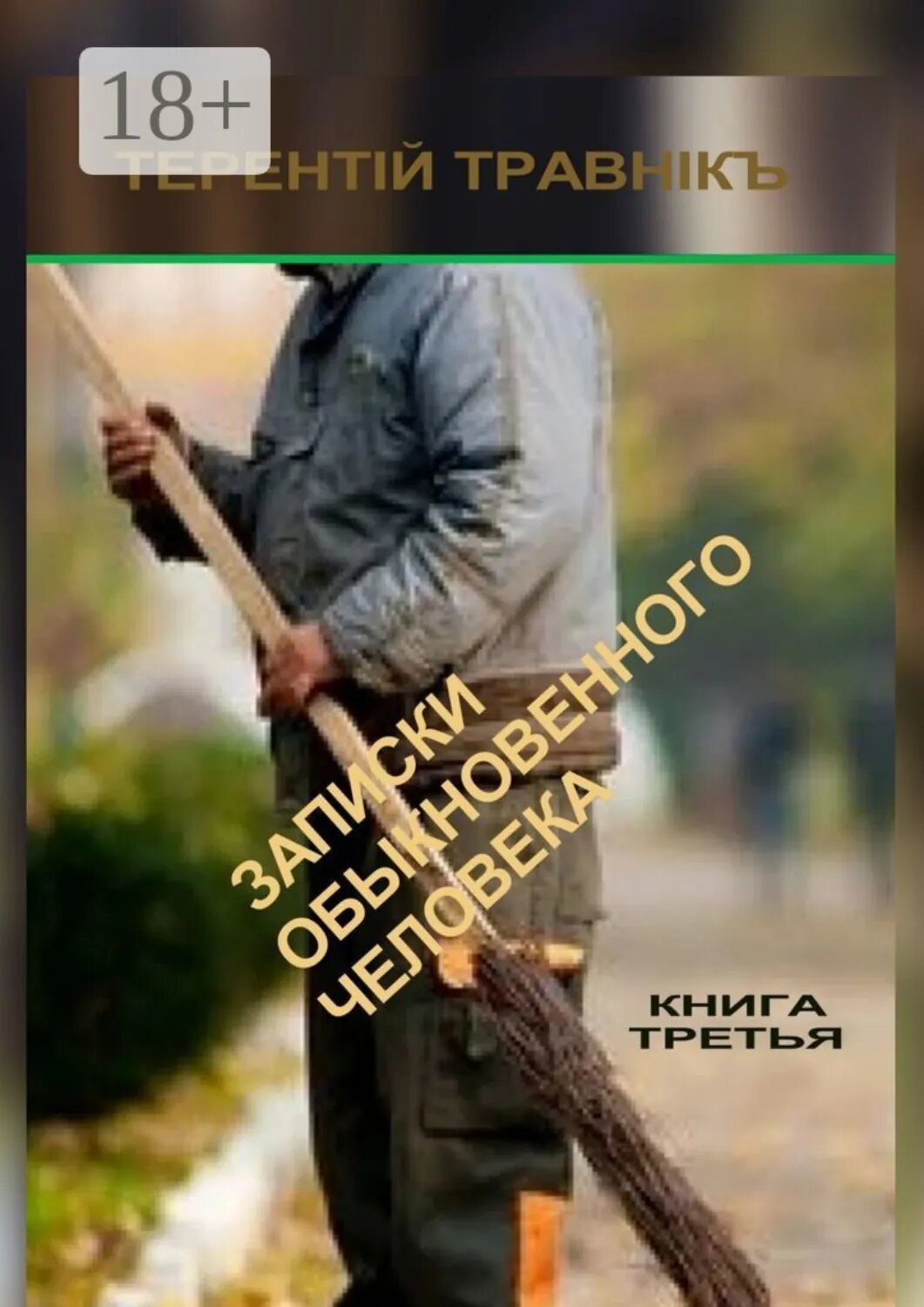 Записки обыкновенного человека. Книга третья [Цифровая книга]