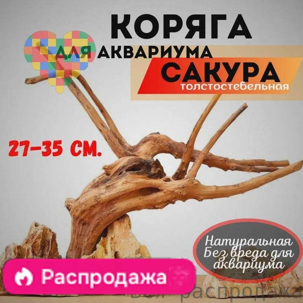 Декорация для аквариума/террариума