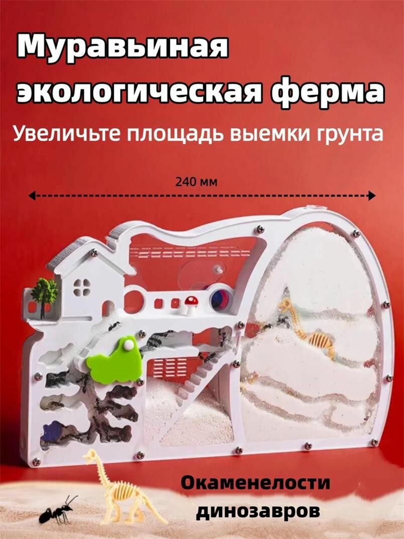 Муравьиная ферма — фото 1