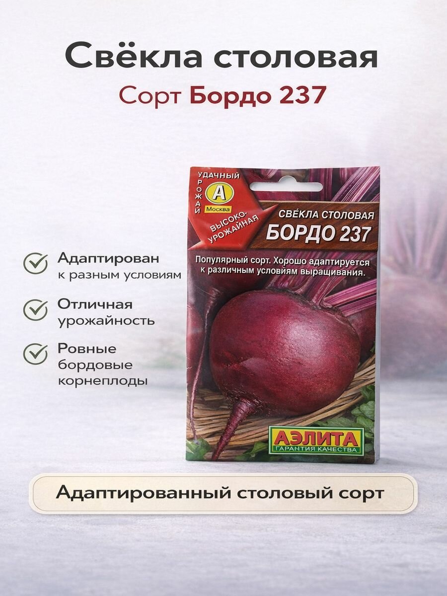 4шт Свёкла столовая Бордо 237 семена классического сорта для открытого грунта
