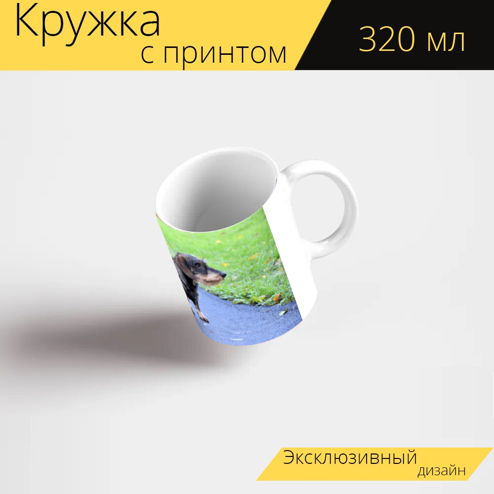Кружка с рисунком, принтом "Такса Мило такса животное такса милый животных" 320 мл.
