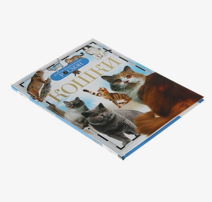 Детская энциклопедия "Кошки"