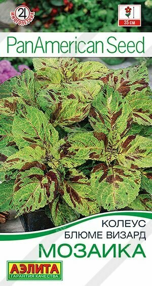 Семена Колеус блюме "Мозаика визард" "Аэлита"