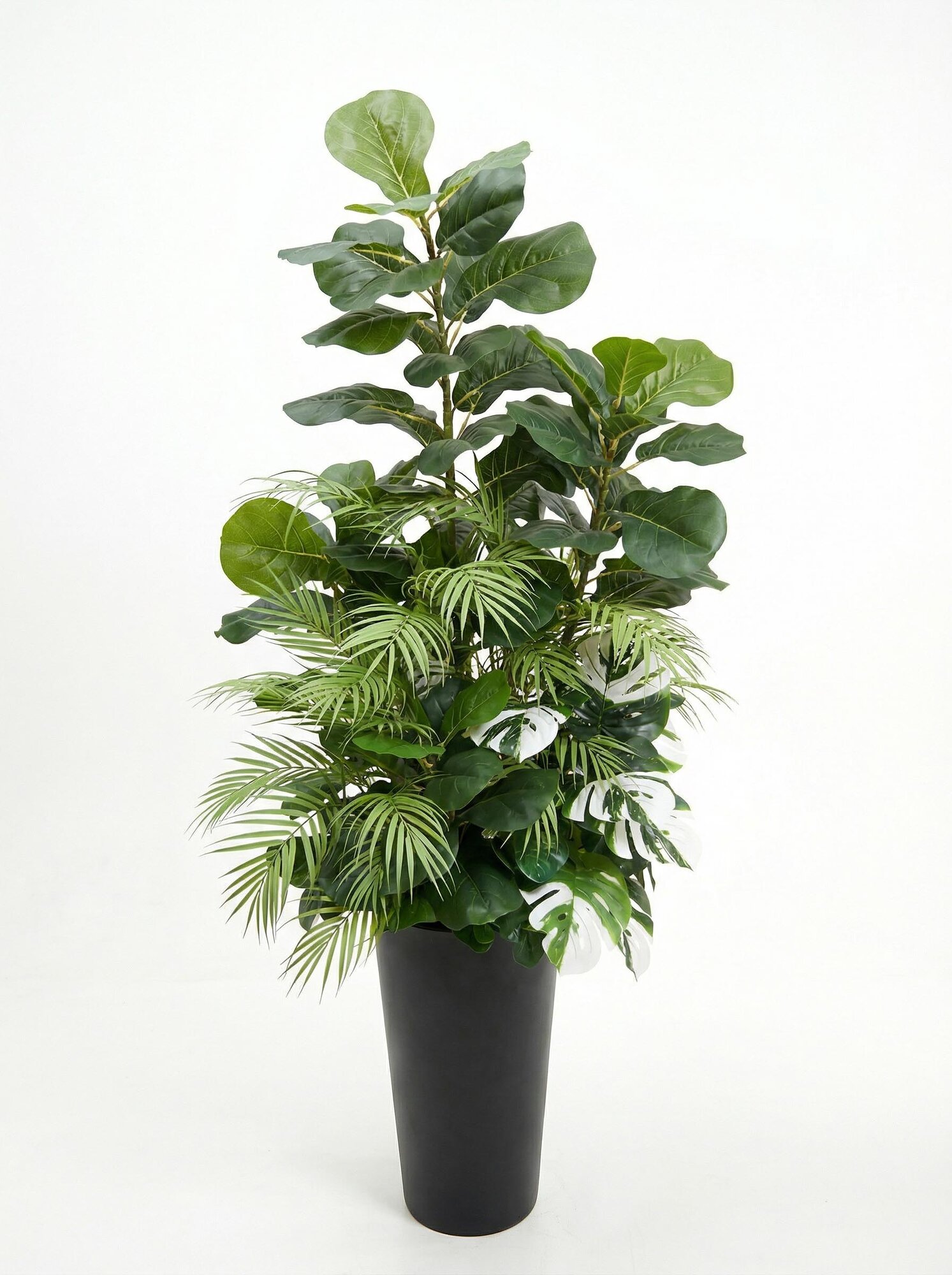 Фикус Лирата 165см в кашпо графит, 4 ствола от ФитоПарк, декор напольный