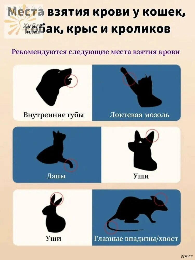 Ветеринарный Глюкометр — фото 1