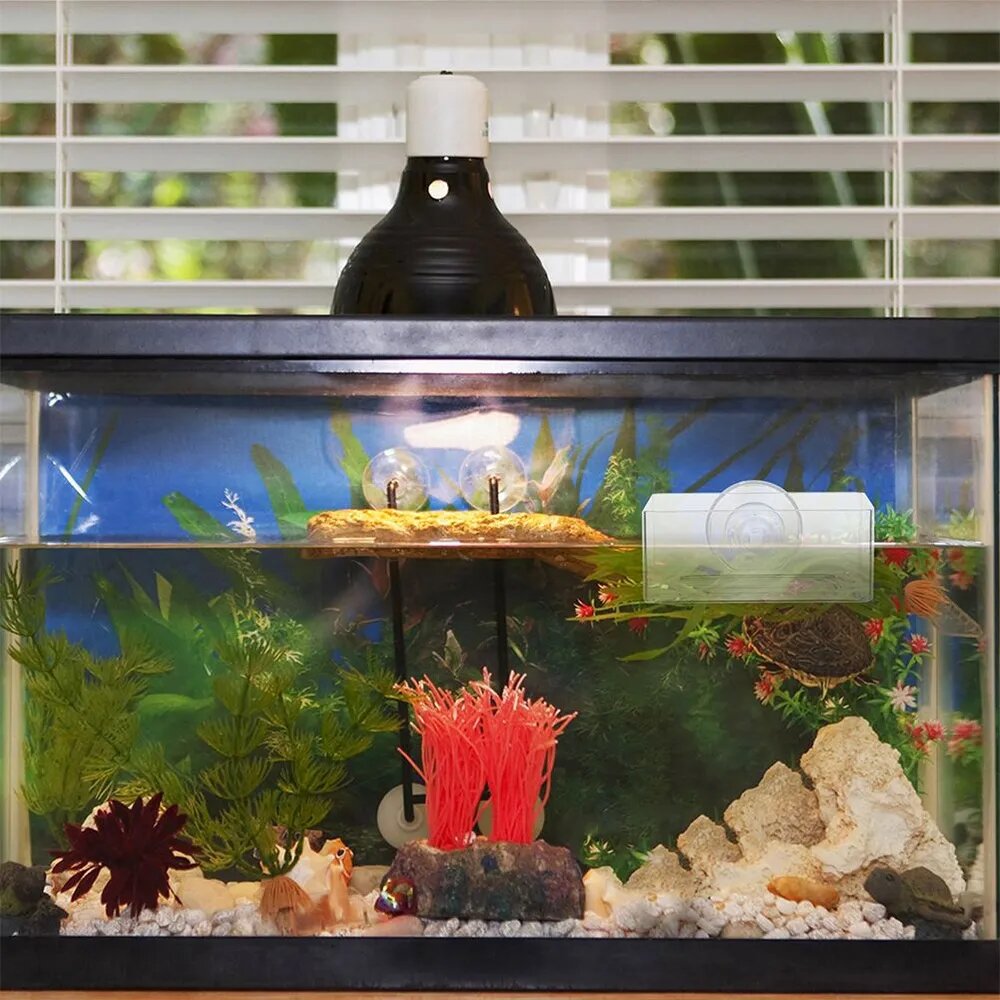 Прозрачное акриловое кольцо для кормления рыб в аквариуме набор из 2 шт