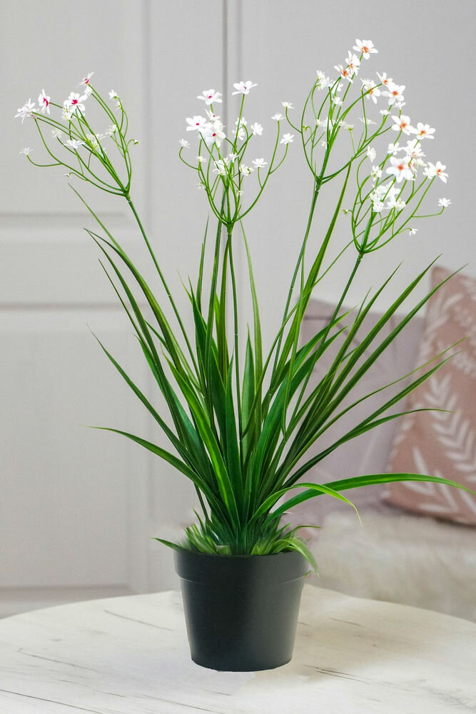 Искусственные цветы в горшке очарование флоры, белые, 50 см, Summer Deco 5010058