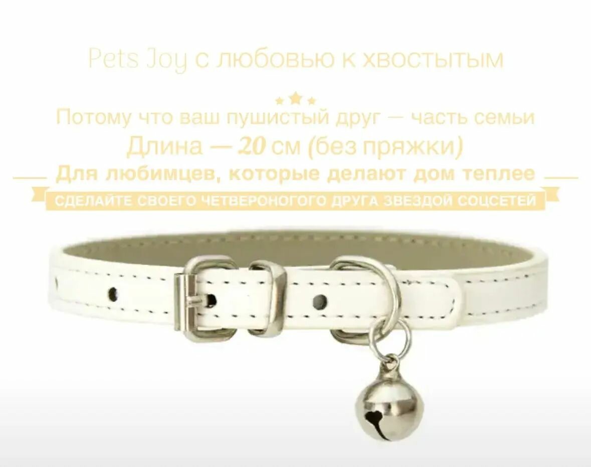 Ошейник для кошек и собак мелких пород, белый