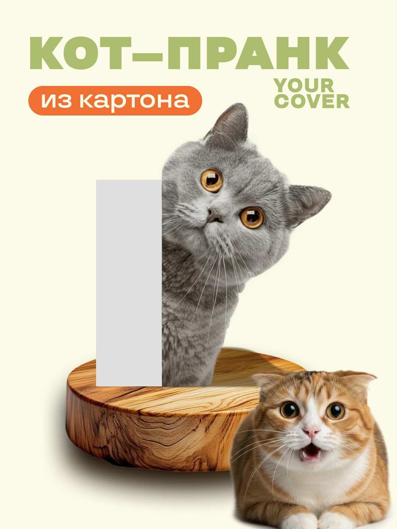 Кот пранк из картона реалистичный выглядывает из за угла