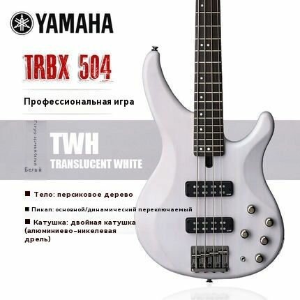Бас-гитара
