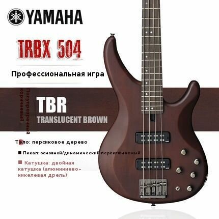 Бас-гитара — фото 1