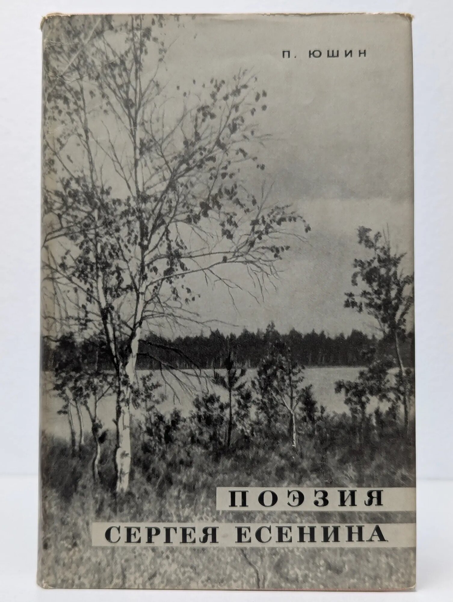 Поэзия Сергея Есенина 1910 — 1923 годов Юшин Петр Федорович 1966