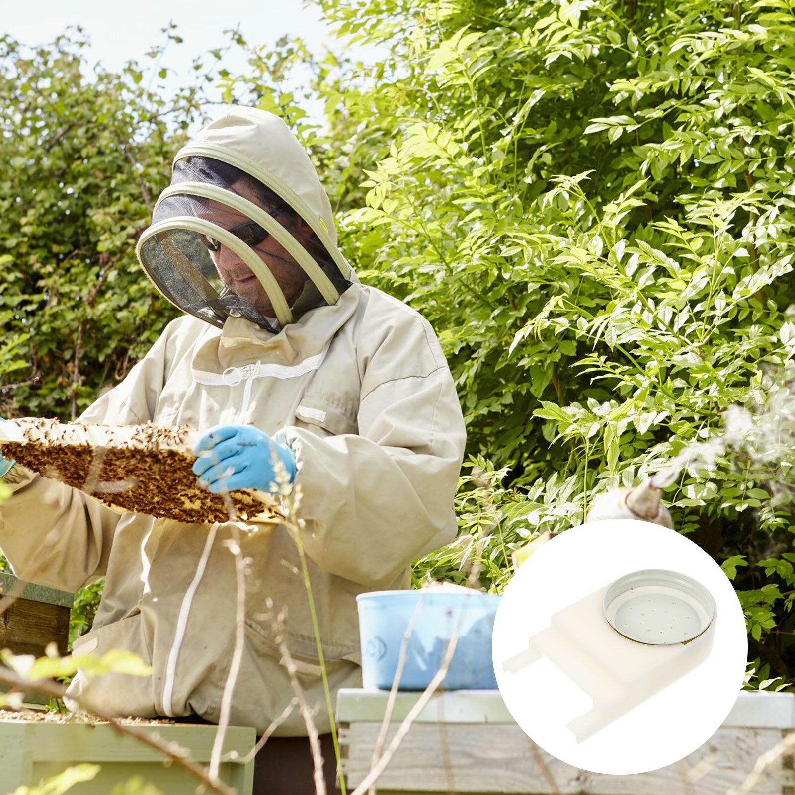 Кормушка для пчел из пластика белого цвета с небольшим отверстием, для улья, 2 шт