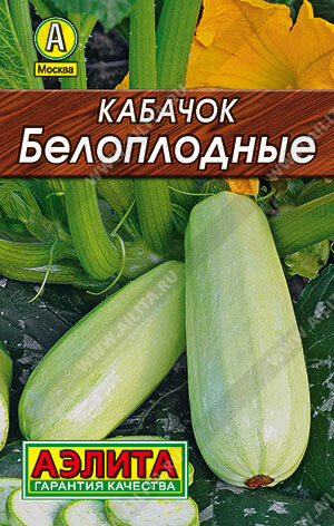 Кабачок Белоплодные