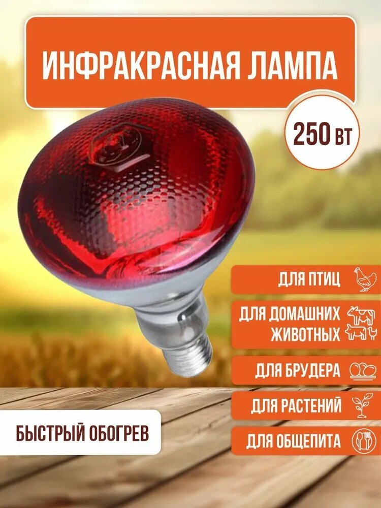 Лампа инфракрасная для обогрева кур, щенков, цыплят, свиней, курятника, брудера/ Лампочка галогенная для животных, растений и теплиц 250Вт Е27 - 1 шт