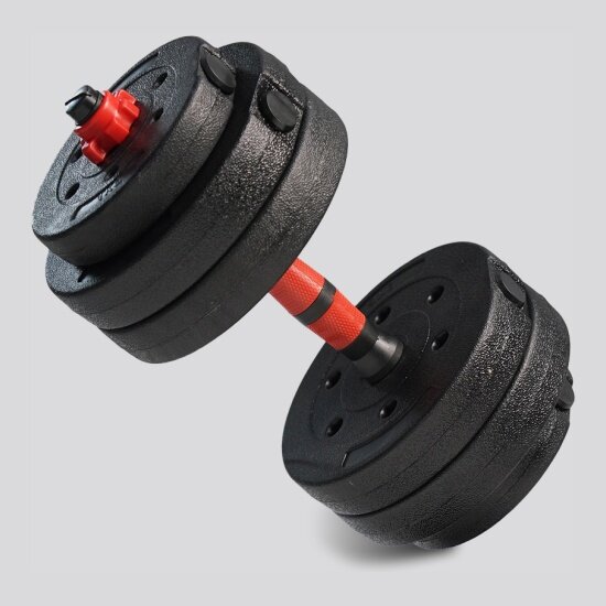 Гантель Блин-да-гриф 10 кг 1 шт