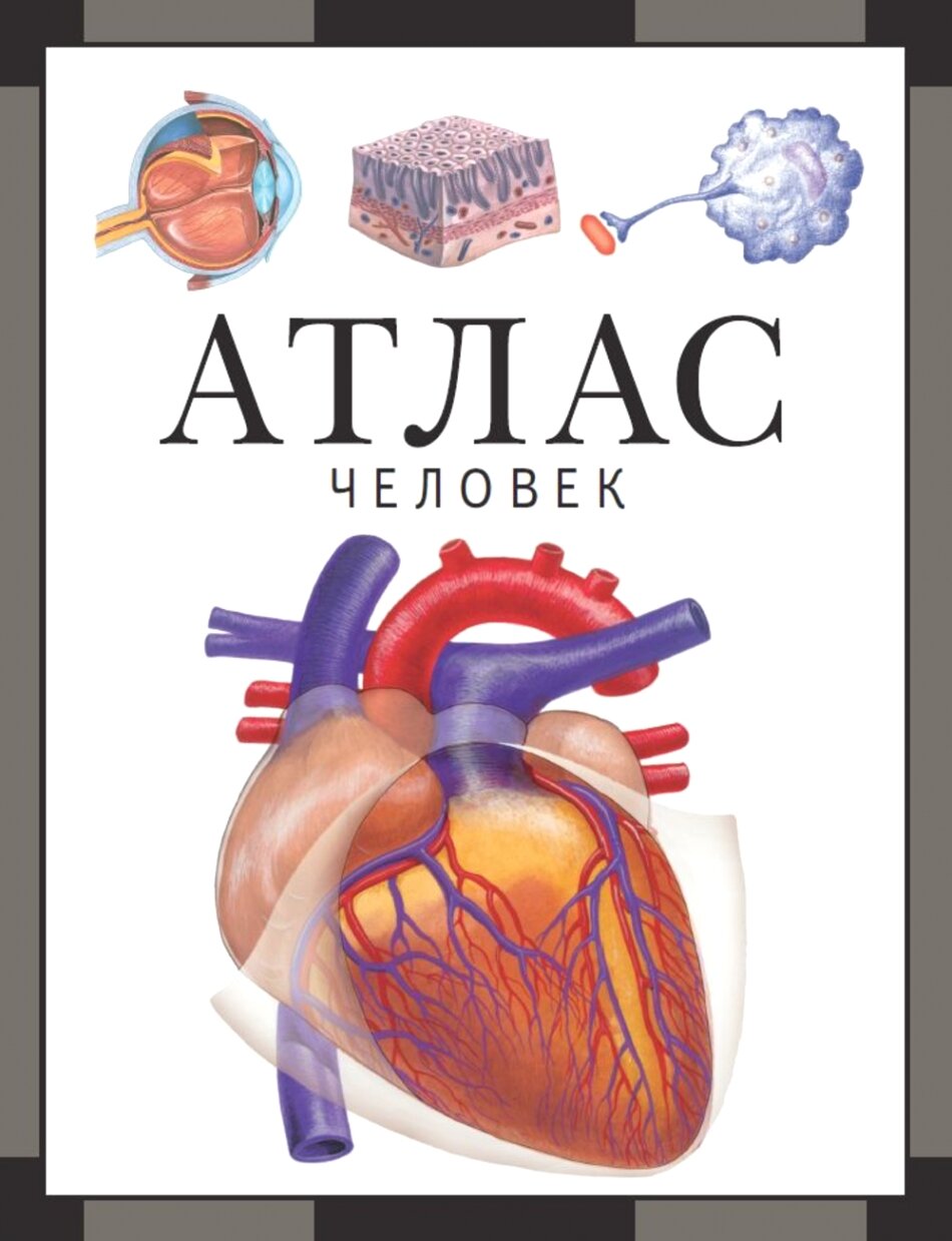 Человек: атлас