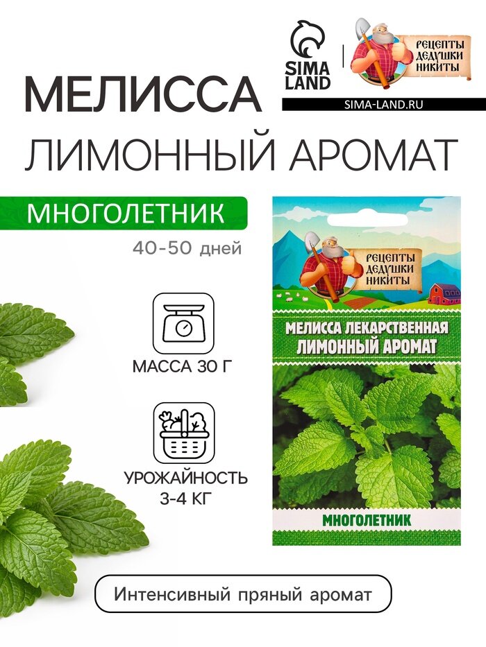 Семена Мелисса лекарственная Лимонный аромат 0.1 г, Рецепты дедушки Никиты, 2 шт.
