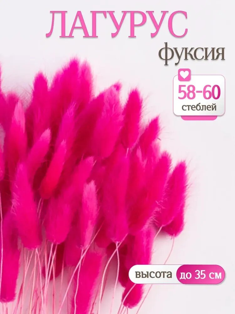 Стабилизированные цветы Тюльпан, Тюльпан махровый, 33 см, 65 гр, 6 шт