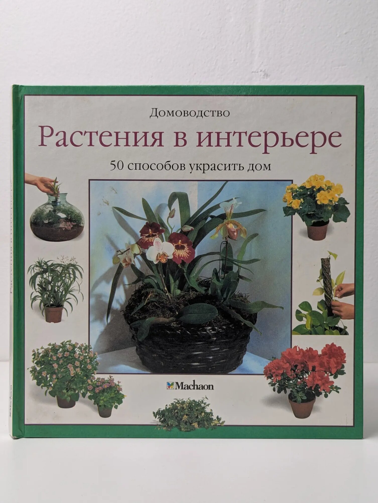 Домоводство. Растения в интерьере. 50 способов украсить дом Сборник 1999
