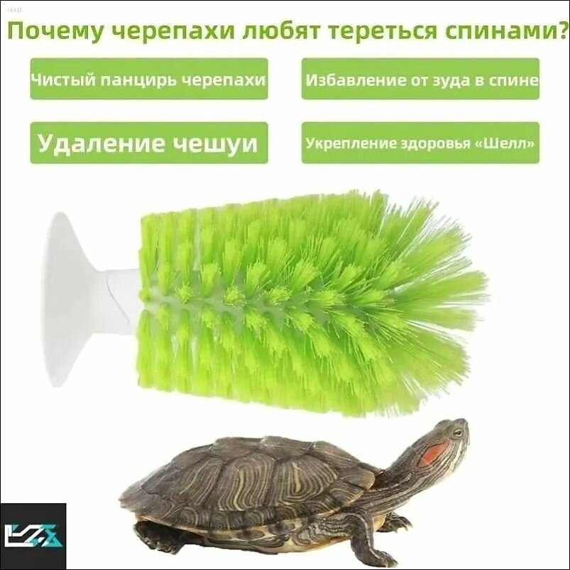 Эксклюзивная скребница для панциря черепахи с вакуумными присосками зелёный гигиенический аксессуар для ухода за рептилиями