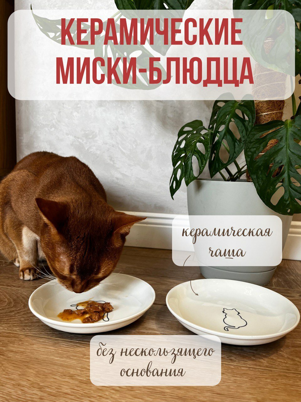 Набор мисок Qalla, для грызунов, кошек, собак, керамика, 200мл