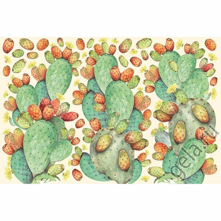 Карта для декупажа STAMPERIA "Velo", 50х70 см, 80 г/м2