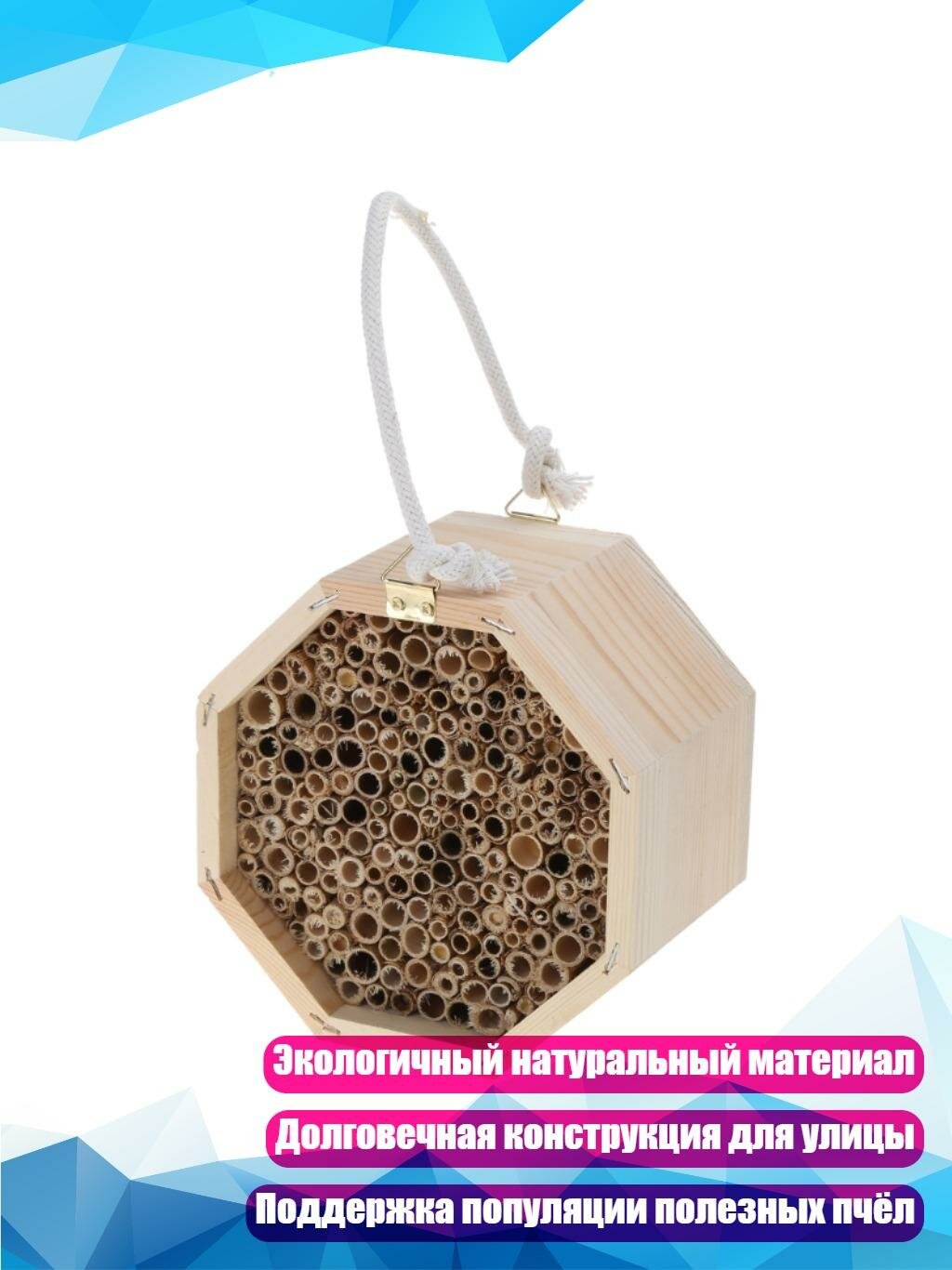 Безопасный улей для диких пчёл