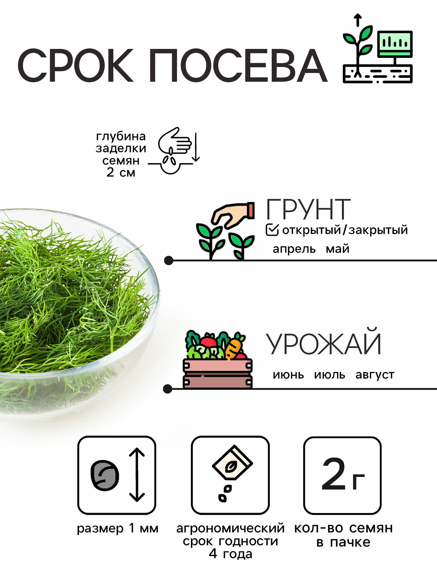 Семена Укроп "Крокодил", 2 г, посев (посадка) в грунт: апрель, 2 шт. — фото 1