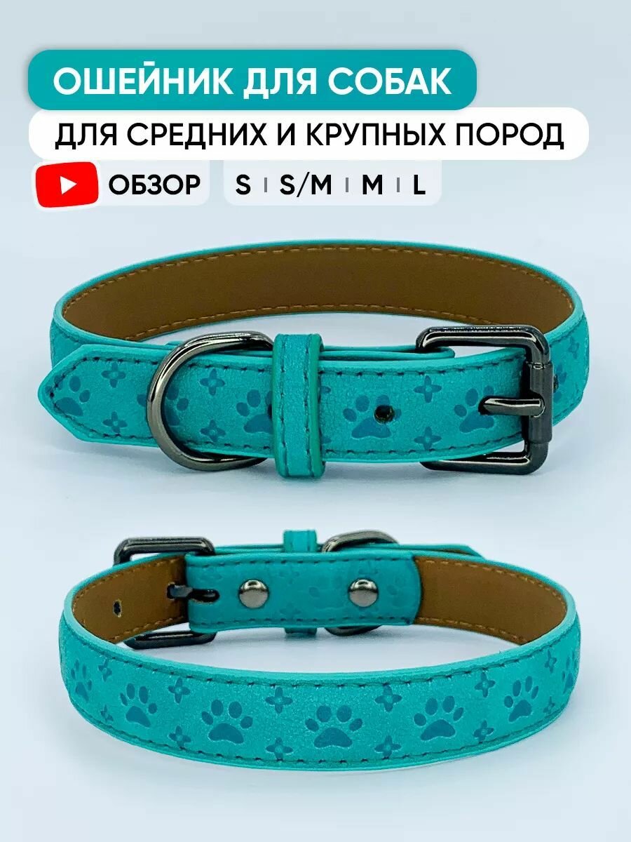 Голубой кожаный ошейник для собак и щенков всех пород, S / 27см - 33см для ежедневной носки для выгула