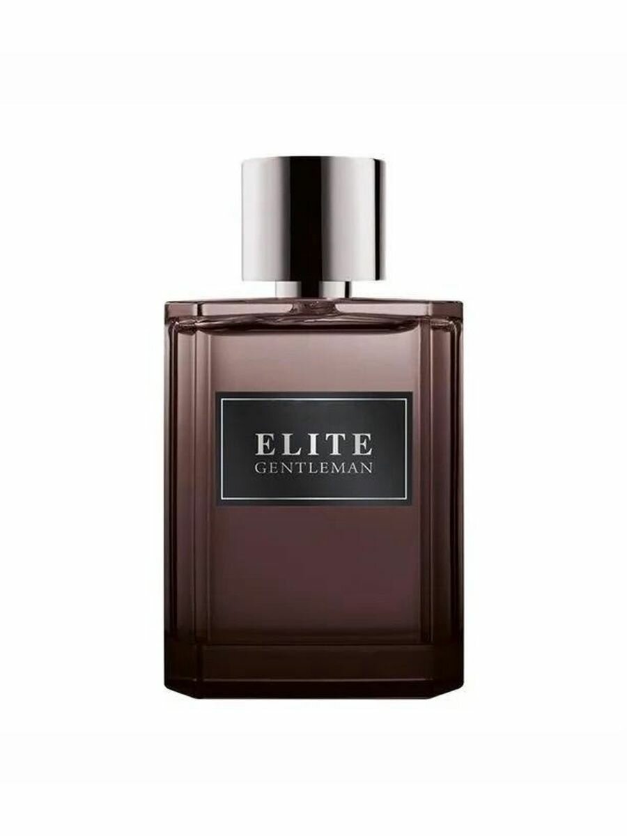 Туалетная вода Elite Gentleman, 75 мл