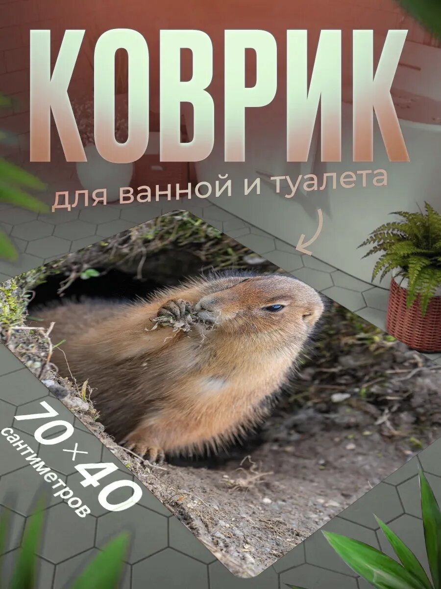 Коврик для ванной противоскользящий влагостойкий 70 на 40