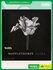 Книга "Mapplethorpe Flora The Complete Flowers", 2024 г, мягкая обложка
