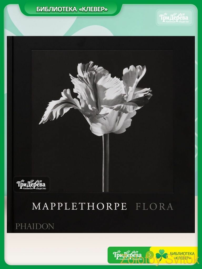 Книга "Mapplethorpe Flora The Complete Flowers", 2024 г, мягкая обложка