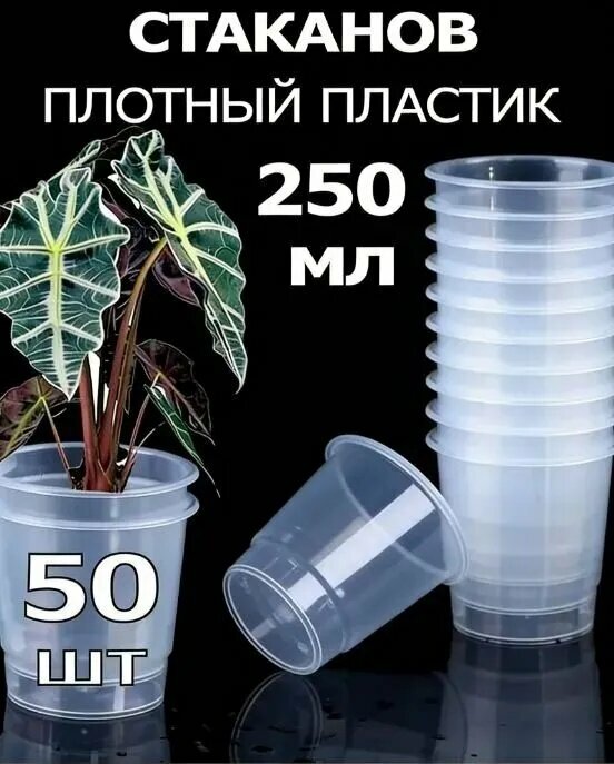 Одноразовые пластиковые стаканы с толстыми стенками, 250 мл, 50 штук