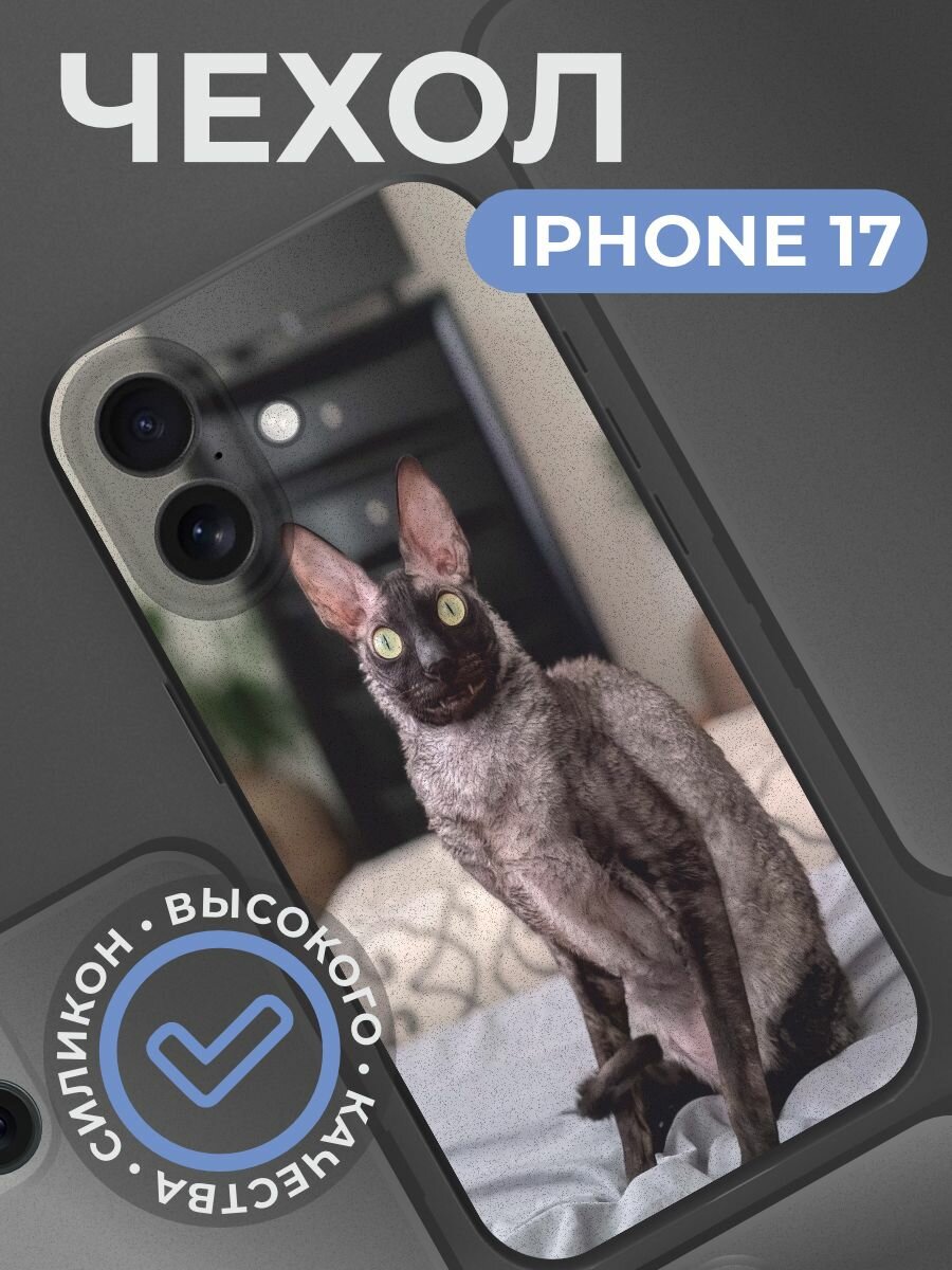 Чехол на iphone 17 с принтом Сфинкс