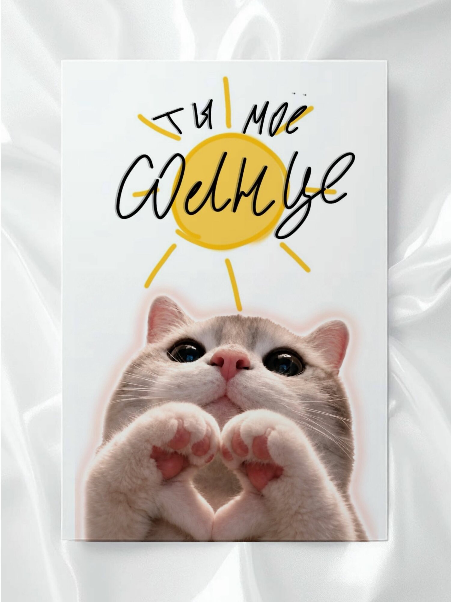 Открытка с котиком Ты моё солнце ! мотивирующий подарок и поддержка близкому человеку