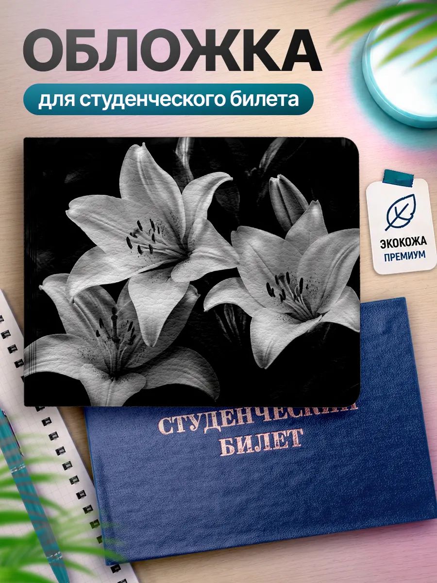 Обложка для студенческого билета Наклейки за Копейки