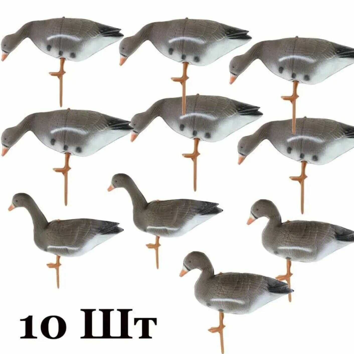 Чучела Гусей Белолобый Xpe 10 Шт