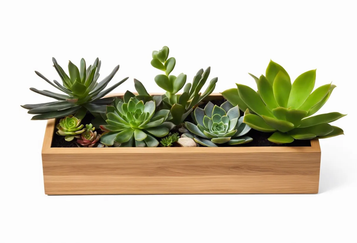 Кашпо с искусственными суккулентами №12, В22*Д50*Ш15