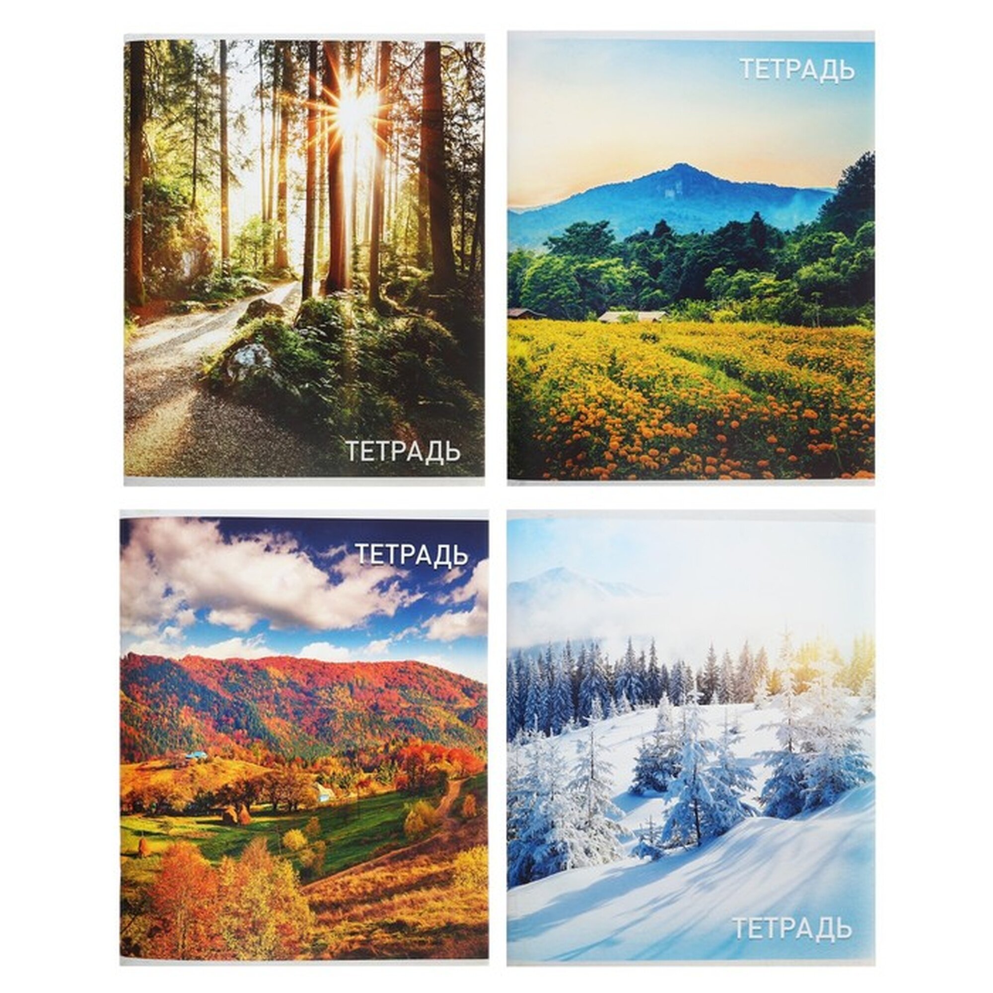 Тетрадь 96 листов в клетку Calligrata «Природа», обложка мелованный картон, блок №2, белизна 75% (серые листы), микс