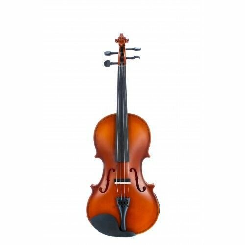 Струнный инструмент