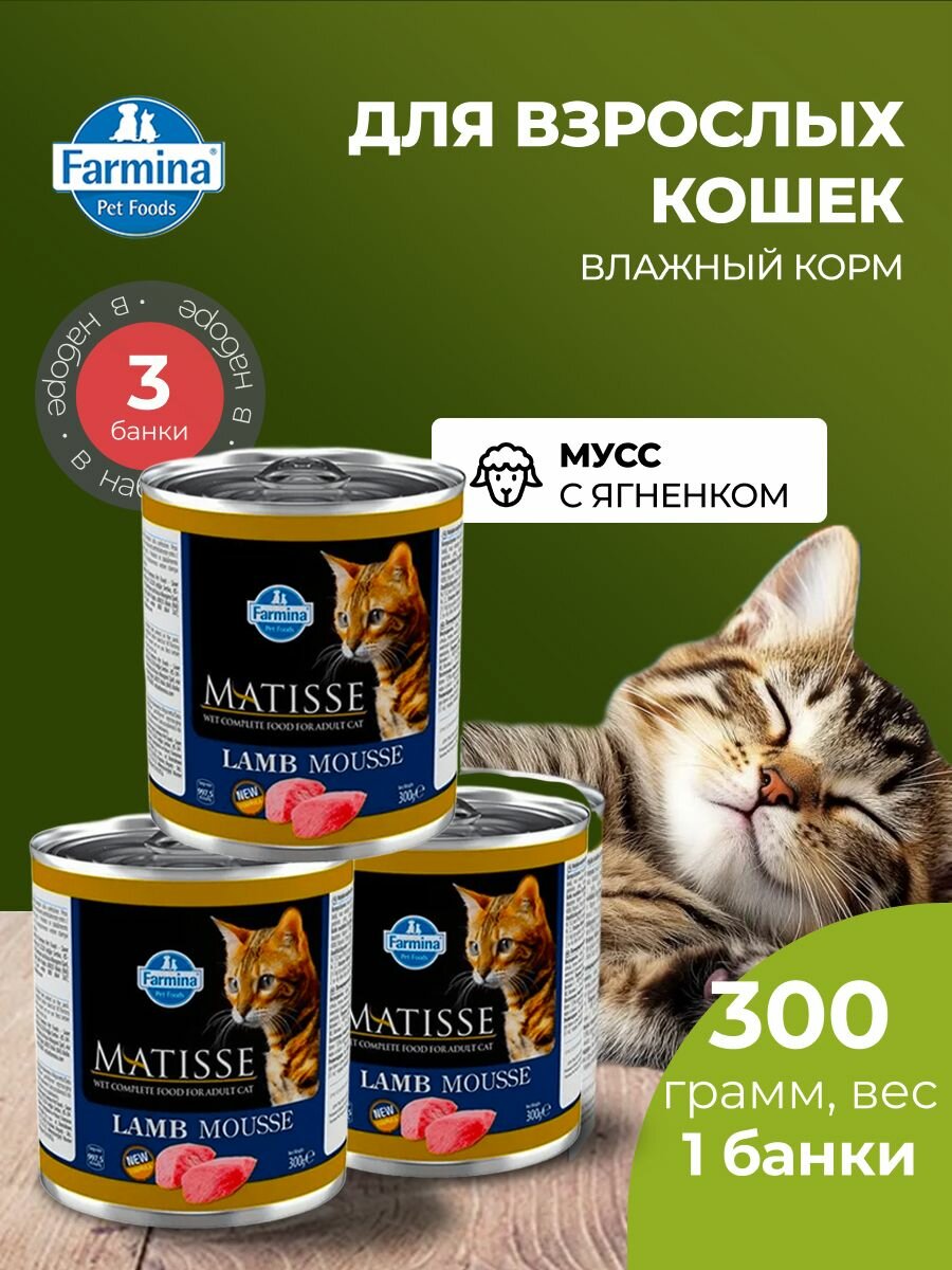 Корм консервированный для кошек Farmina Matisse, Матисс мусс для кошек с ягненком, влажный корм Фармина 300 г - 3 шт