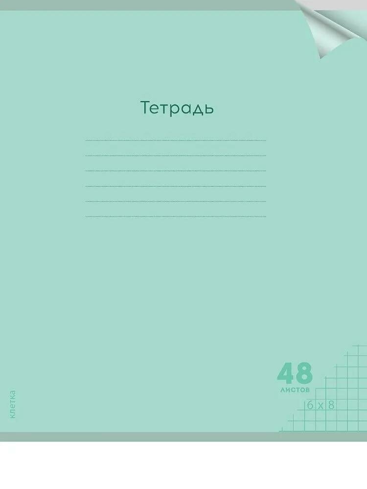 Комплект тетрадей Проф-пресс классика new зеленая, 48 листов, А5, клетка, прозрачная пластиковая обложка, 5 шт