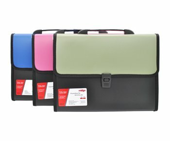 Папка-портфель DM-224/DA-151, 12 отделений, черный с зеленым верхом, пластик