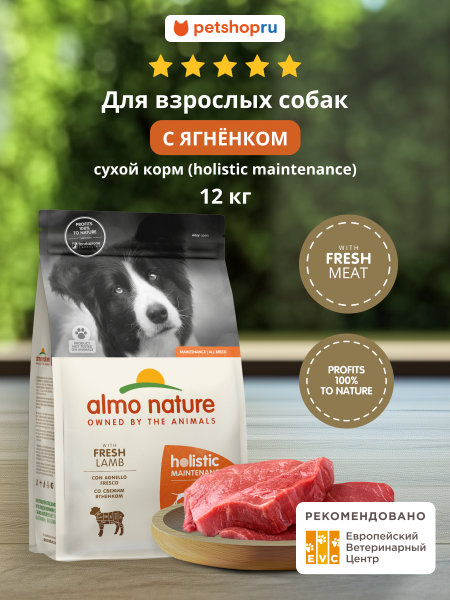 ALMO NATURE HOLISTIC Сухой корм для взрослых собак со свежим ягненком, Life Maintenance, All Breed, Fresh Lamb, 12 кг