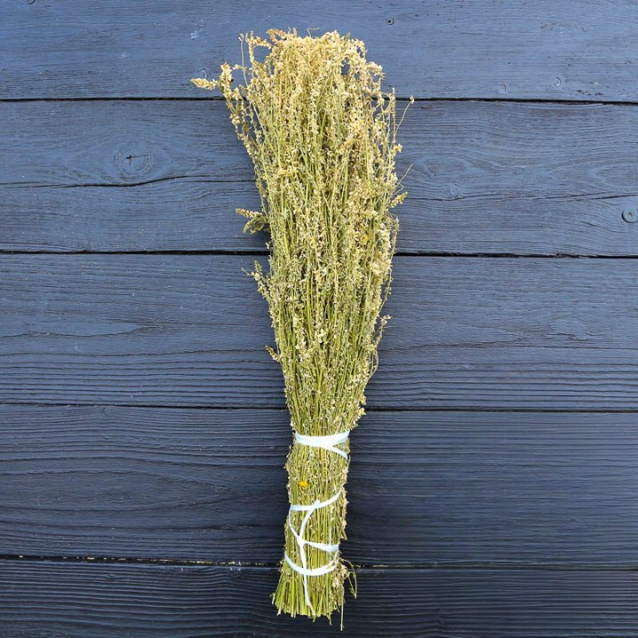 Донник в пучке