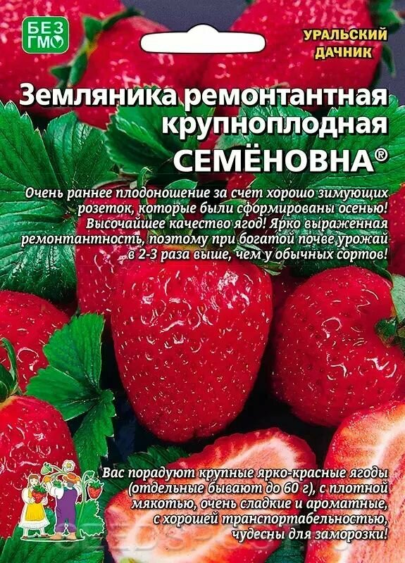 Семена Земляника Семёновна - ремонтантная Уральский дачник Е/П Б/Ф